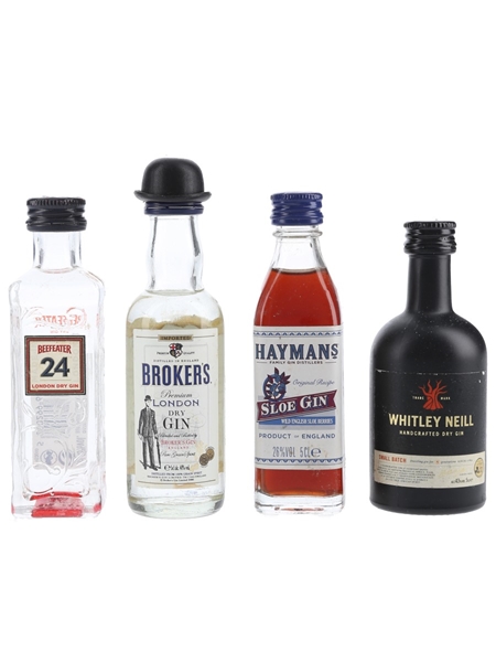 Assorted Gin & Sloe Gin - Lot 80845 - Buy/Sell Gin Online